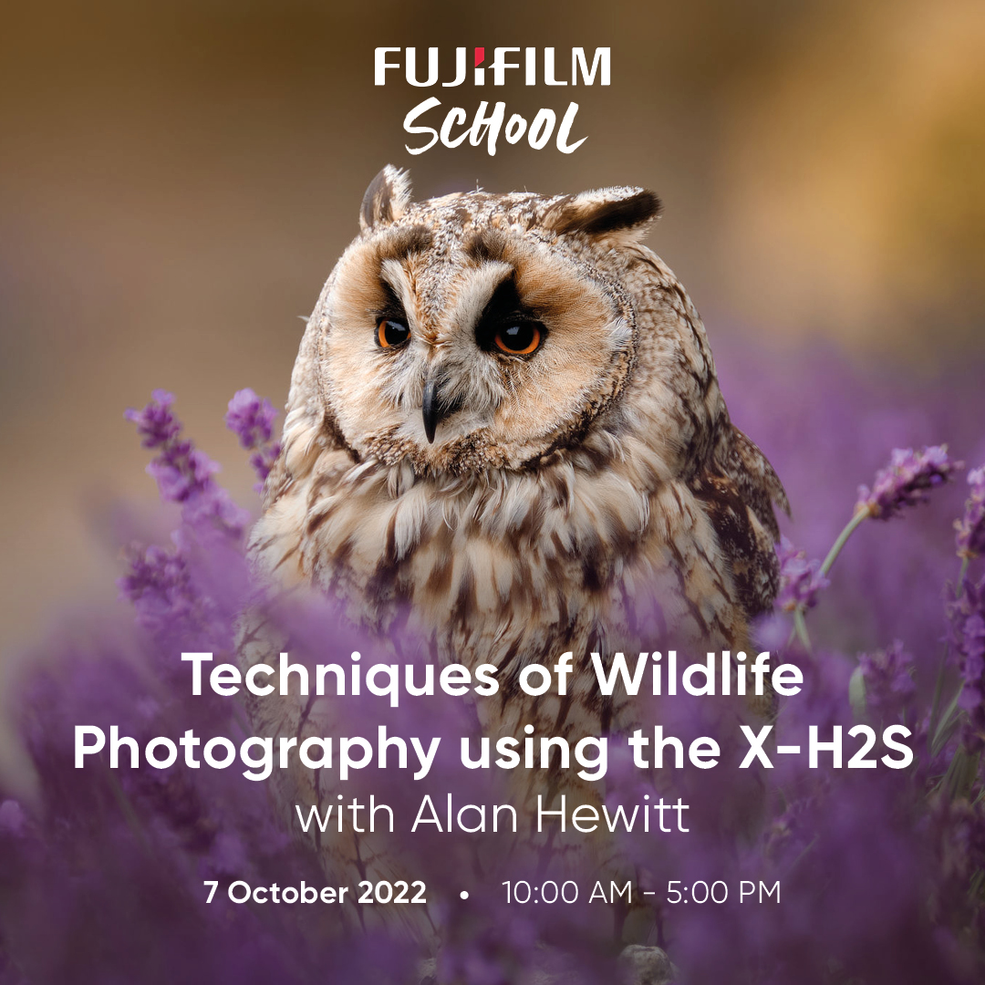 Fujifilm HOP - Techniques of Wildlife Photography using the X-H2S with ...